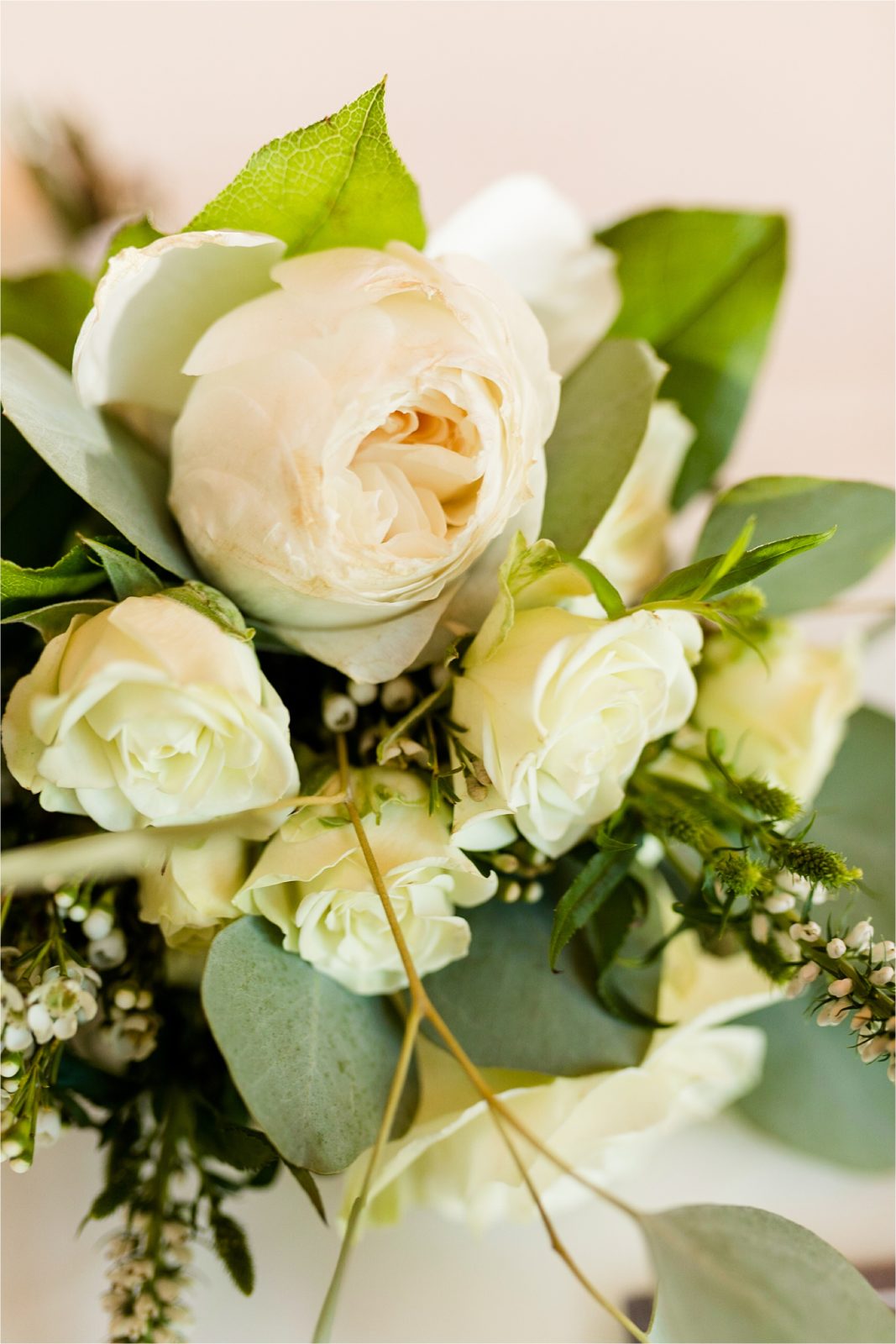 Kalen & Becca: Hidden Hollow Farm Wedding Photos