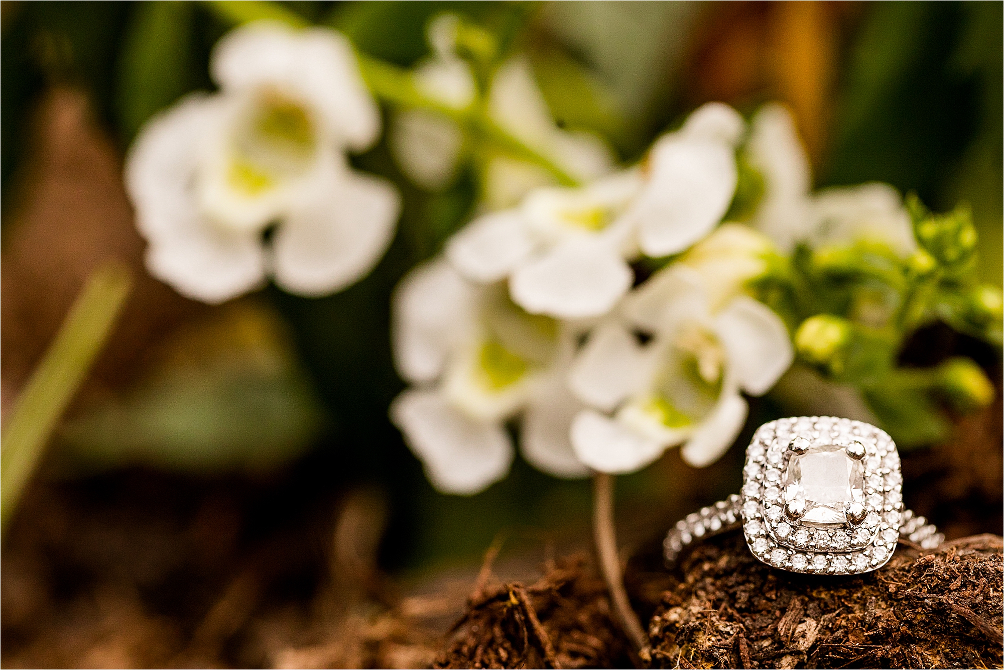 Photo Positions for Couples: A Complete Guide to Capturing Authentic ...